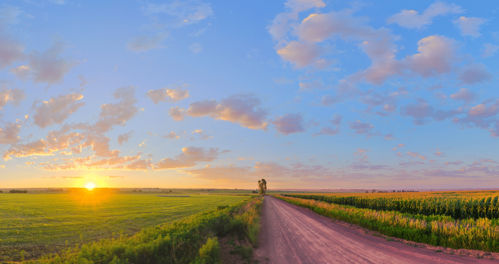 AgriCarbon first sign-up window submitted for registration with Verra ...